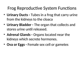 frog body parts and functions.ppt Grade 5 | PPT