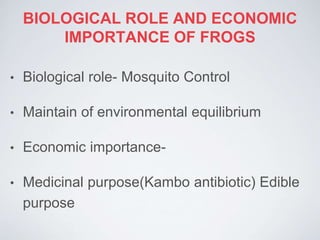 Frog culture | PPT