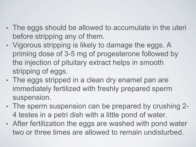 Frog culture | PPT | Reptiles | Pets