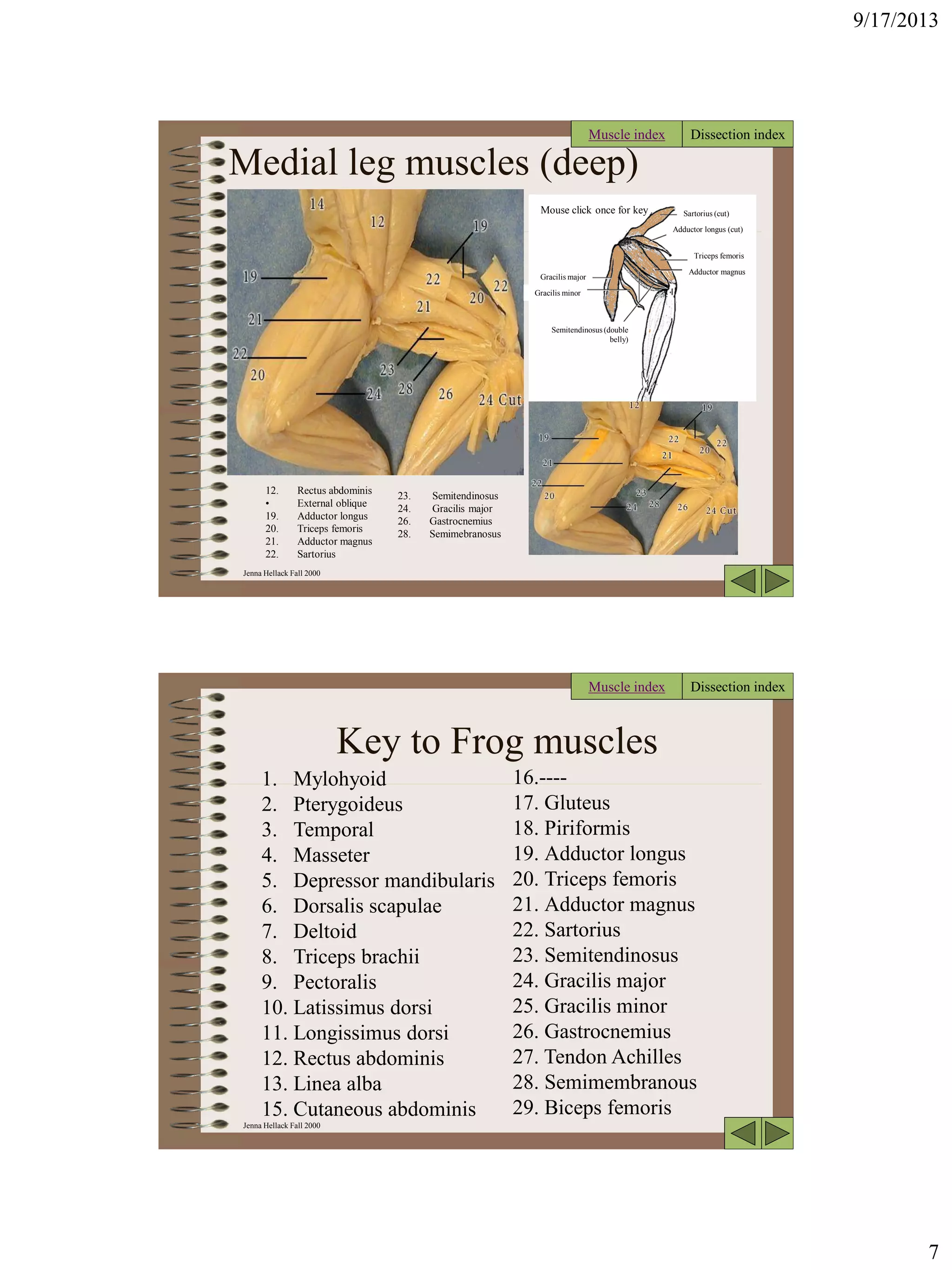 Frogdiss | PDF