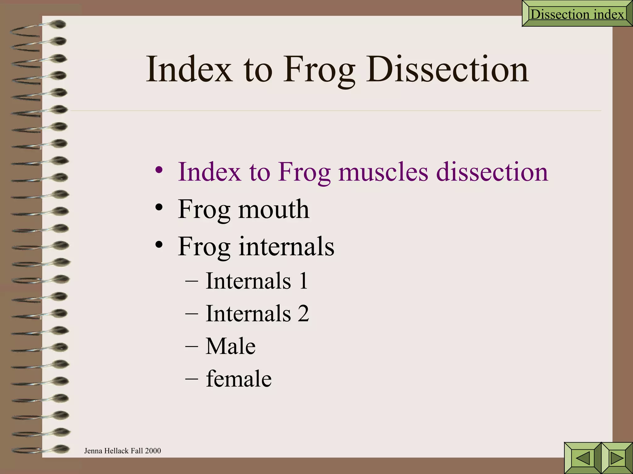 Frog dissecting | PPT