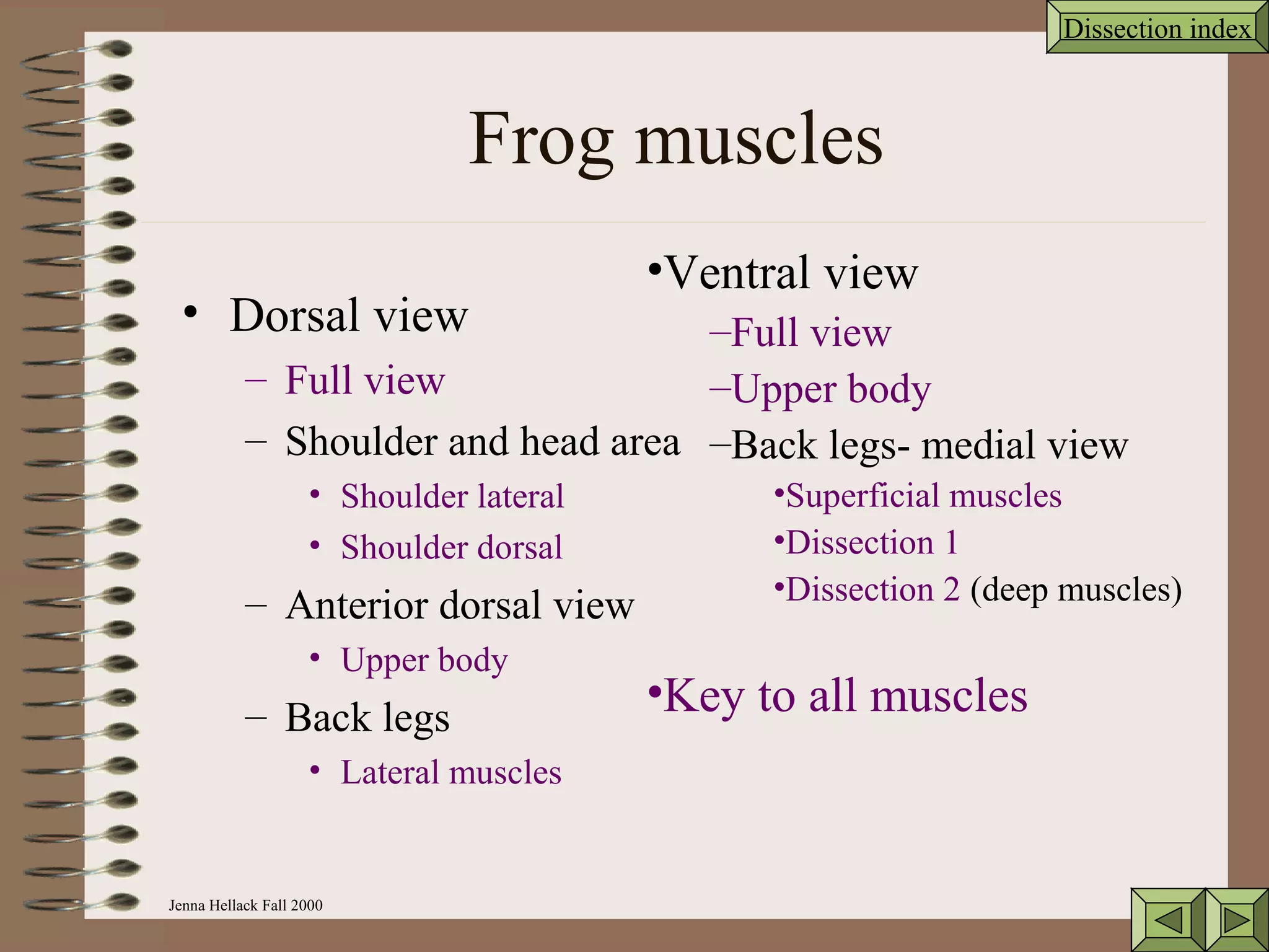 Frog dissecting | PPT
