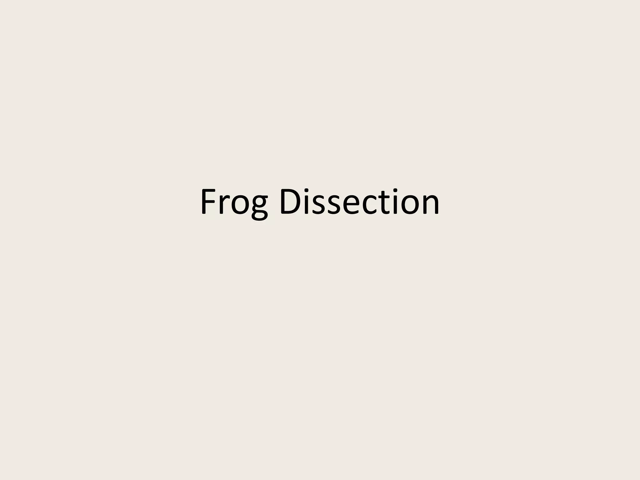frog dissection 2014.pptx