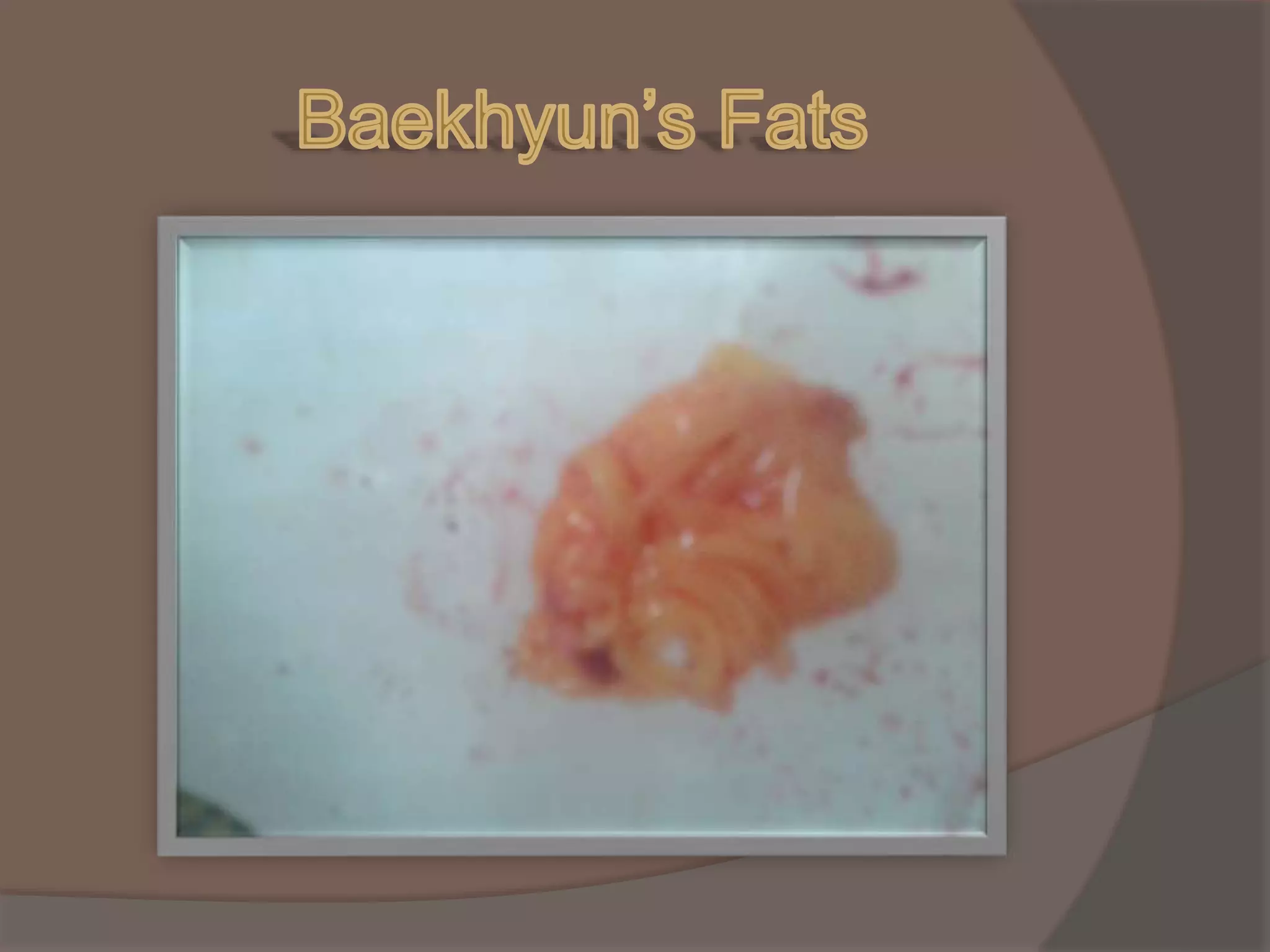 Frog dissection | PPT