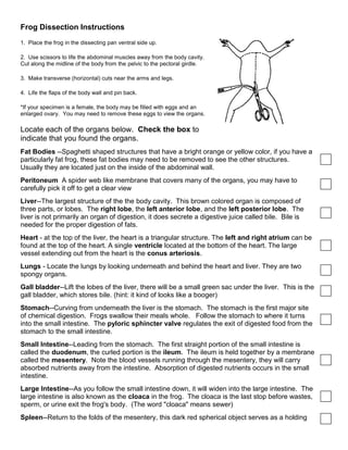 Frog dissection handout | DOCX