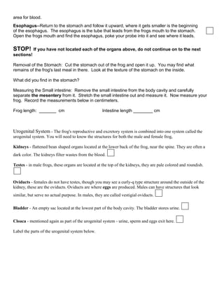 Frog dissection handout | DOCX