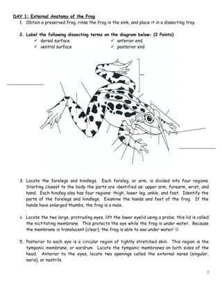 BIOLOGY FROG DISSECTION LAB | DOC