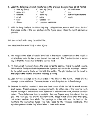 BIOLOGY FROG DISSECTION LAB | DOC