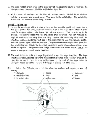 BIOLOGY FROG DISSECTION LAB | DOC