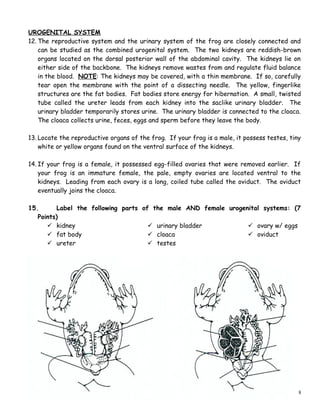 BIOLOGY FROG DISSECTION LAB | DOC