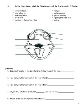 Frog Mouth Dissection Lab