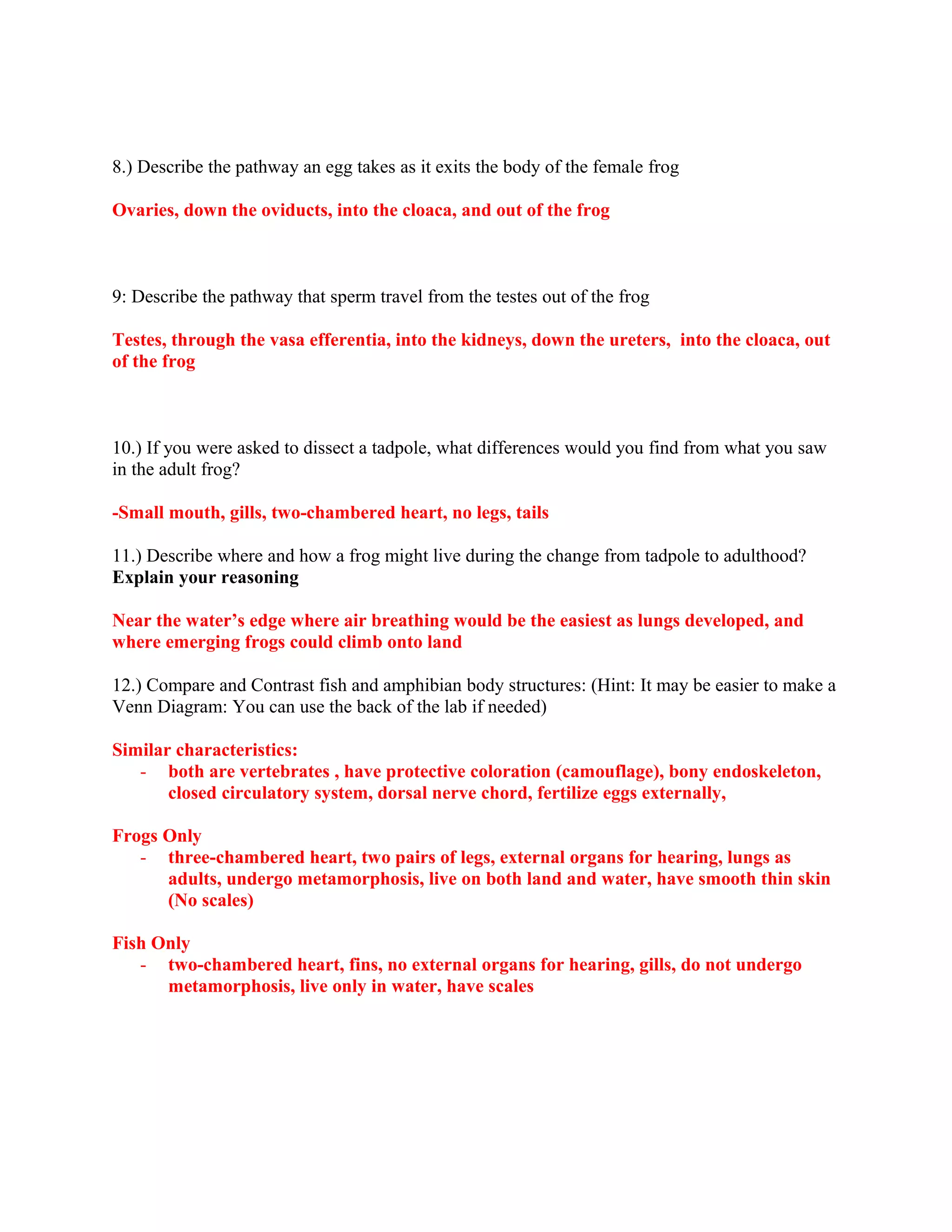 Frog dissection lab answer key | DOC