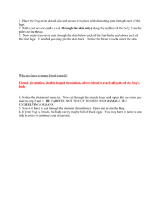 Frog dissection lab answer key | DOC