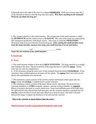 Frog dissection lab answer key | DOC