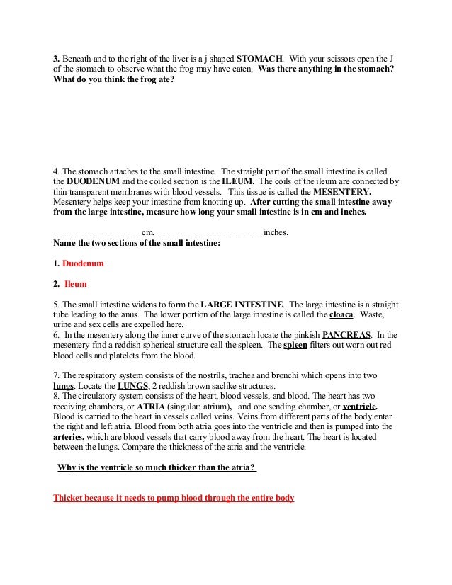 Virtual Frog Dissection Worksheet Answer Key Pdf Cvgasw Virtual Frog Dissection Worksheet Answer Key Pdf Cvgasw