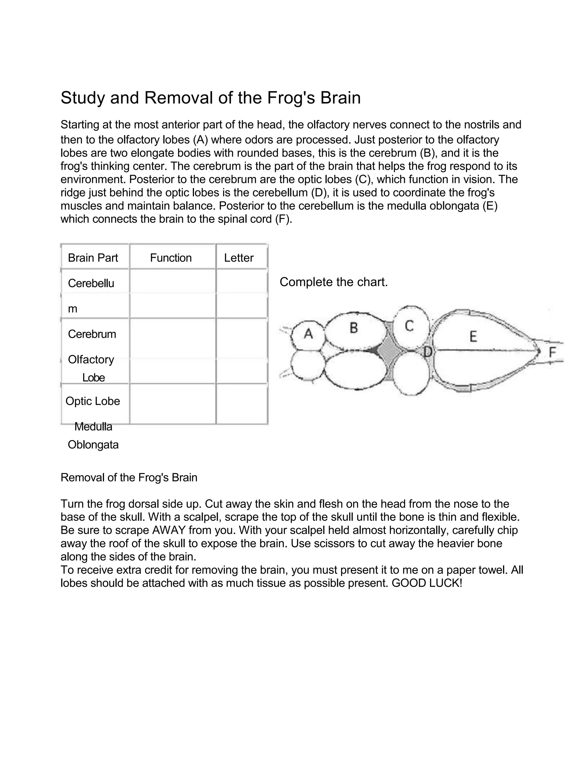 Frog Dissection Lab Manual | DOCX