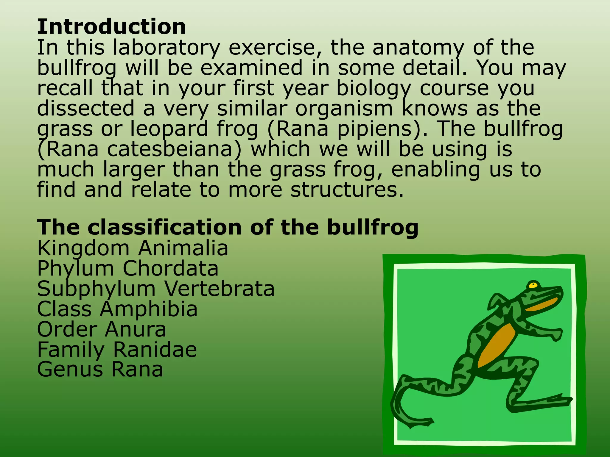 Frog dissection powerpoint | PPTX
