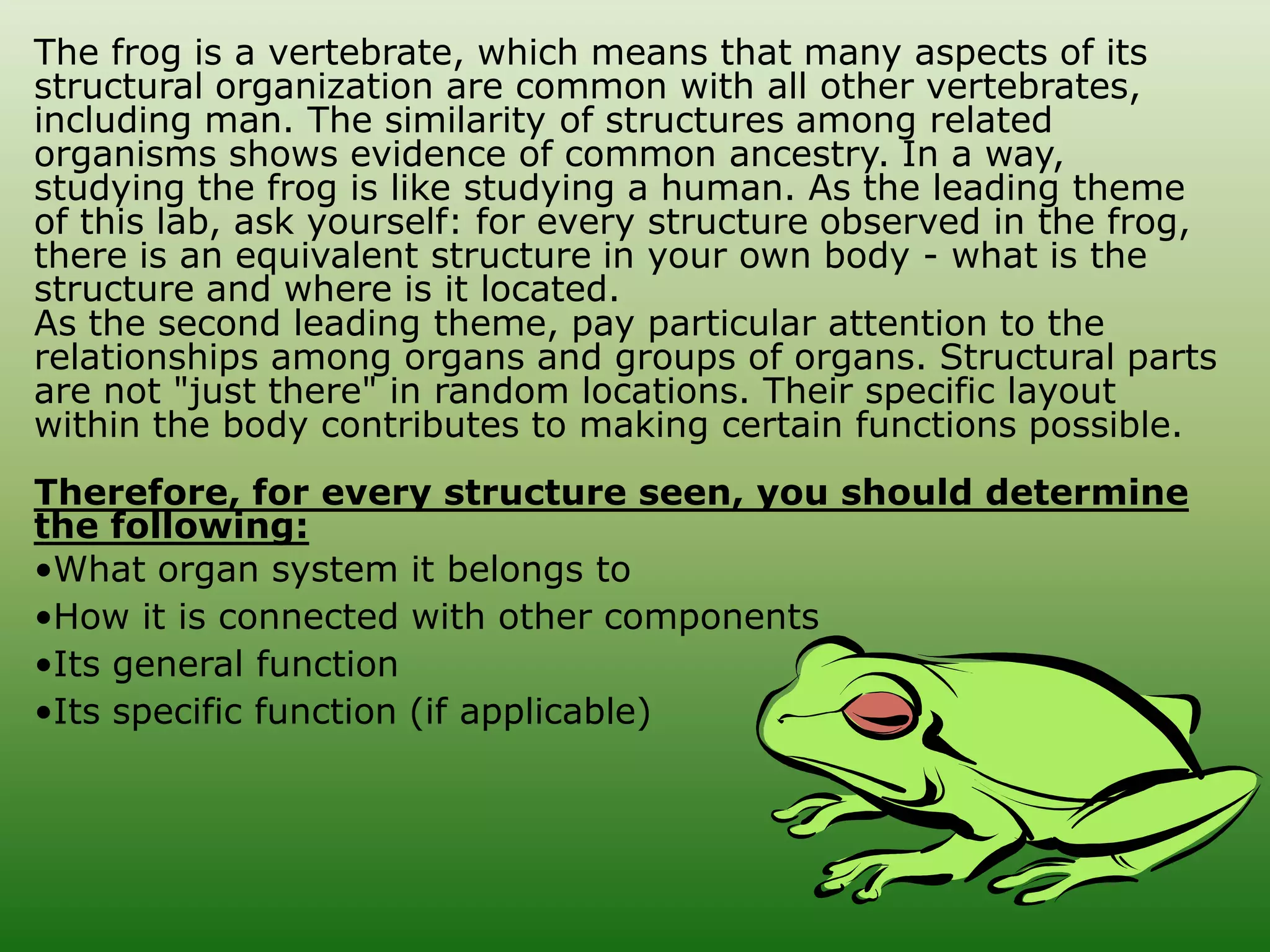 Frog dissection powerpoint | PPTX