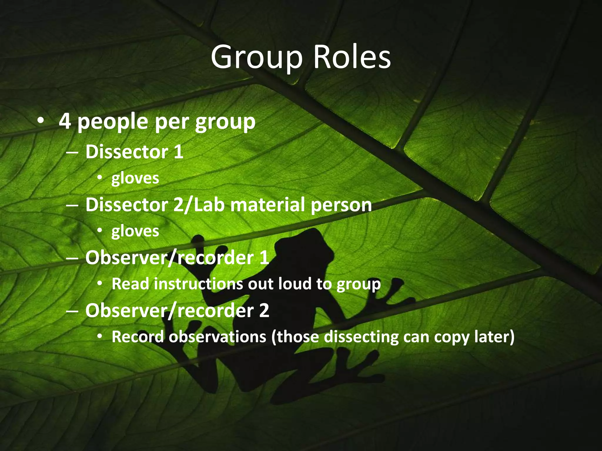 Frog dissection powerpoint | PPTX