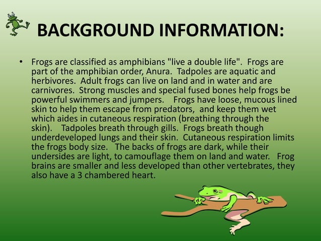 Frog dissection powerpoint | PPTX | Reptiles | Pets