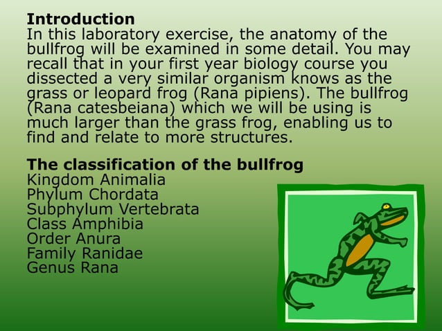 Frog dissection powerpoint | PPTX | Reptiles | Pets