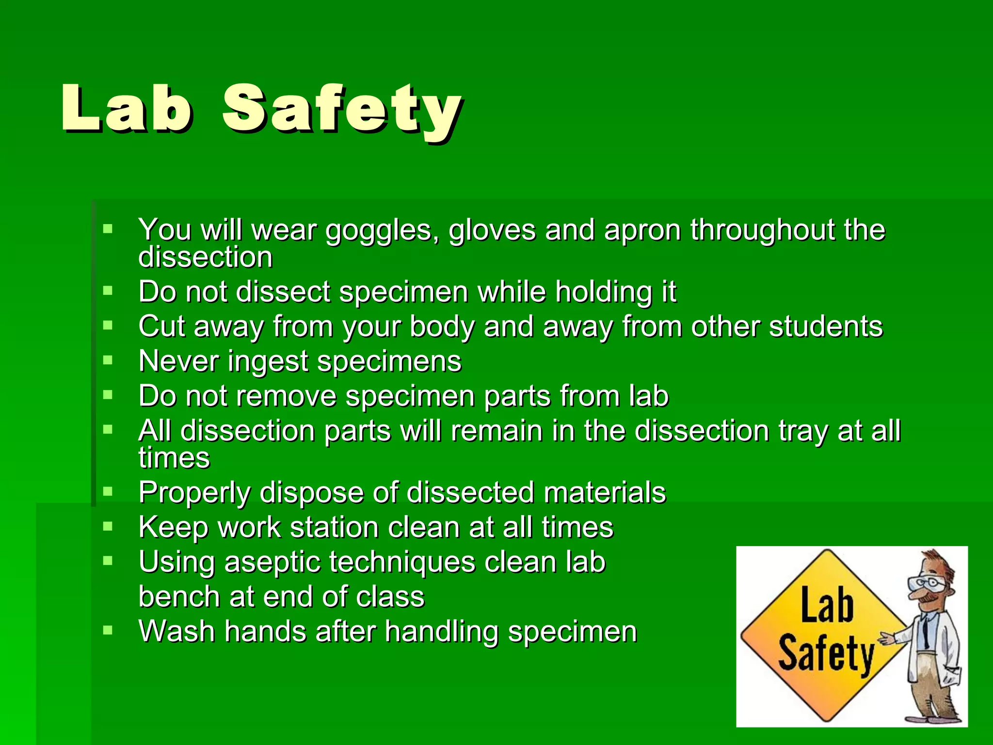 Frog Dissection Ppt | PPT