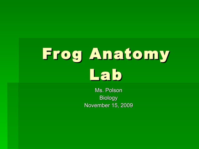 Frog Dissection Ppt | PPT