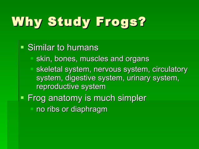 Frog Dissection Ppt | PPT
