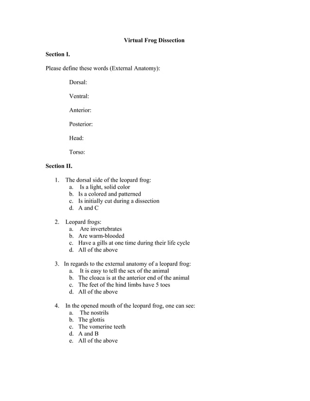 Frog Dissection Worksheet | DOC | Heart and Cardiovascular Diseases | Diseases and Conditions