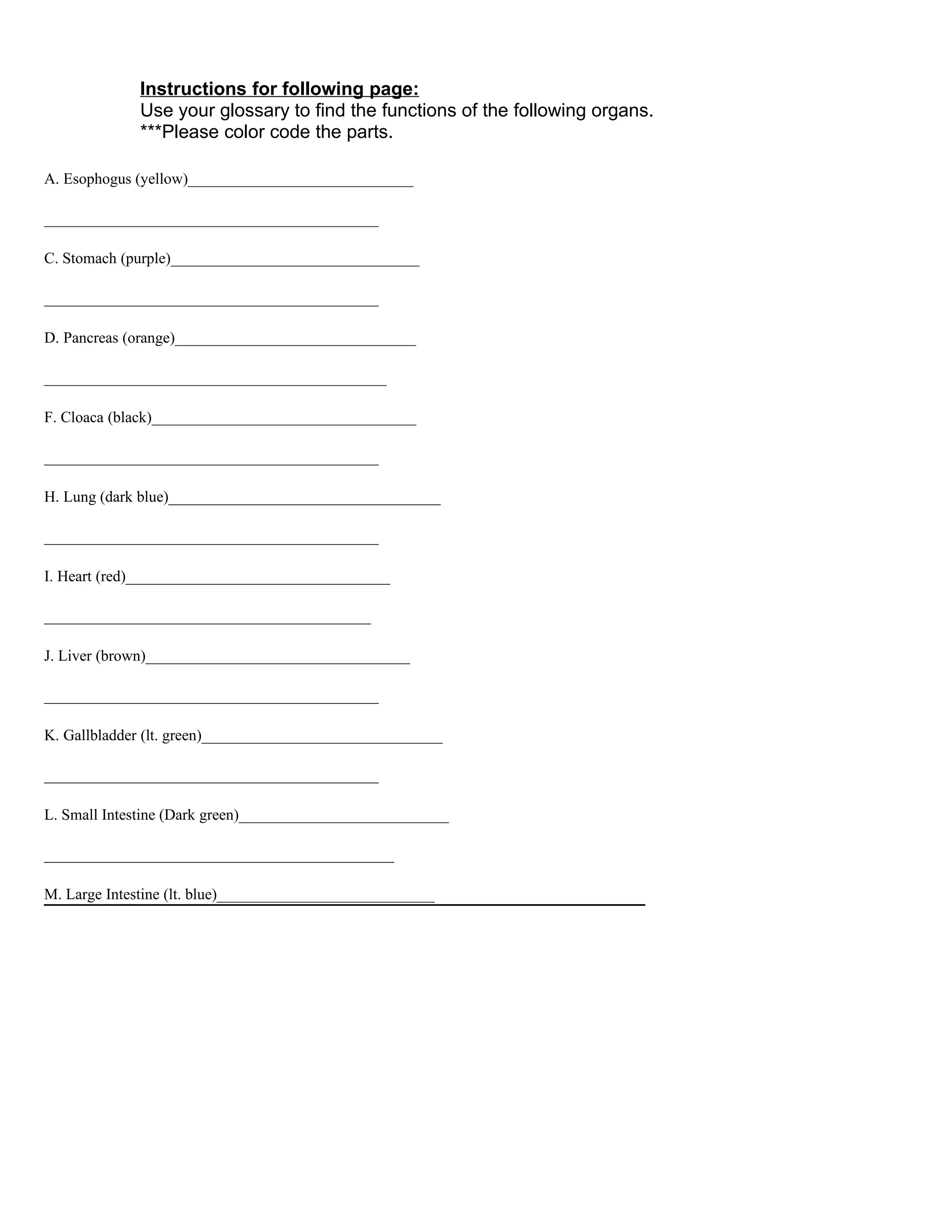 Frog dissection worksheet 2 | DOC