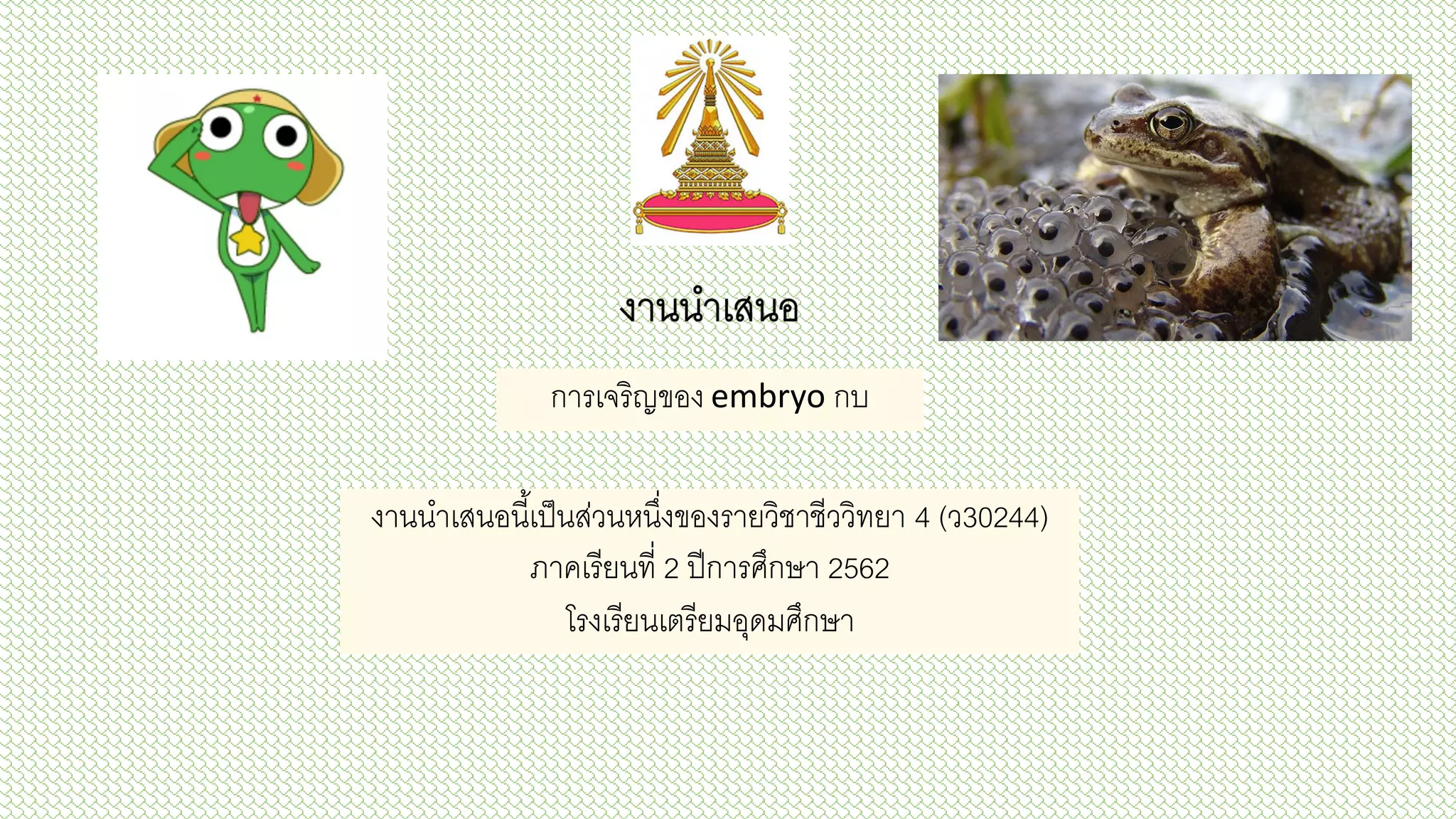 Frog embryo development | PPT