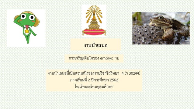Frog embryo development | PPT