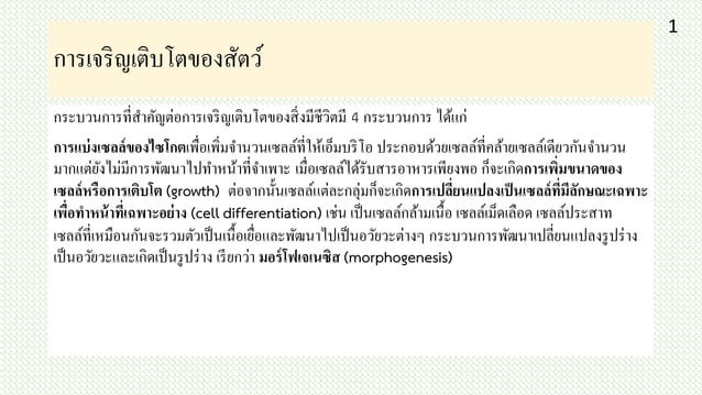 Frog embryo development | PPT