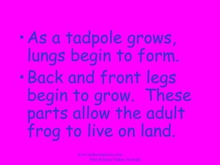 Frog life cycle | PPT