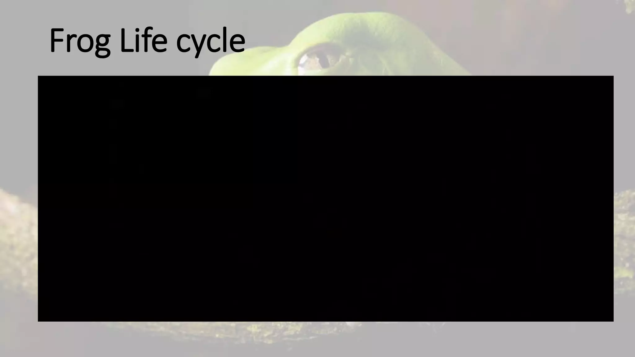 Frog life cycle | PPT