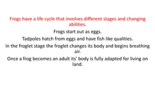 Frog Life Cycle.pptx