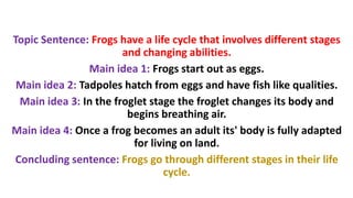 Frog Life Cycle.pptx