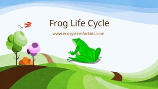 PowerPoint presentation Frog Life Cycle.pptx