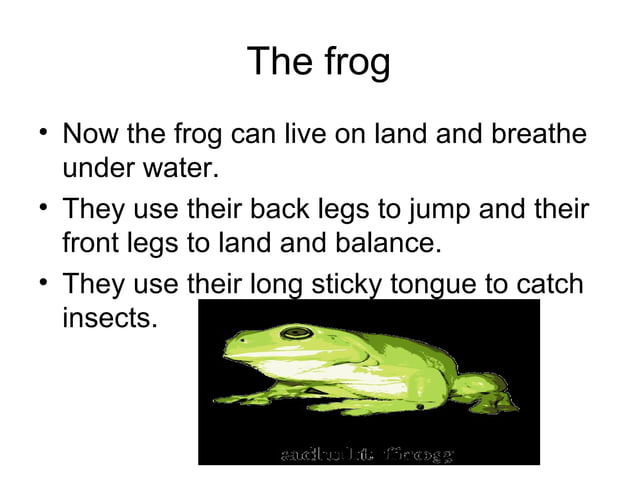 Frog life cycle 2 | PPT
