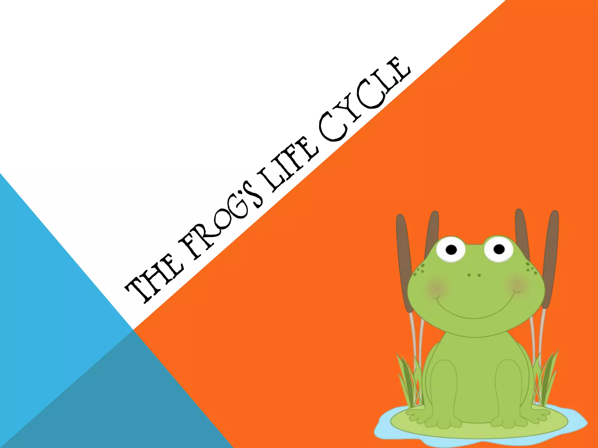 Frog life cycle power point | PDF