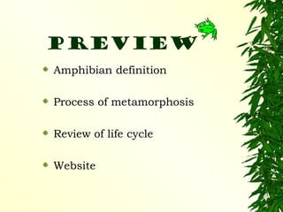 Frog metamorphosis | PPT