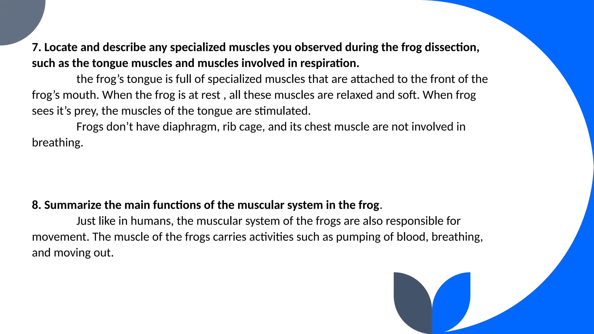 FROG MUSCULAR SYSTEM - Muscles in our Body | PPTX