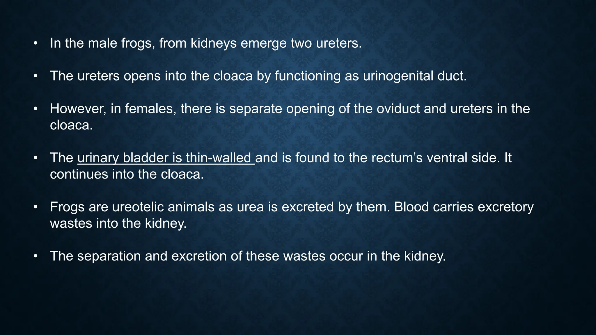 FROG - structural organization of animal | PDF