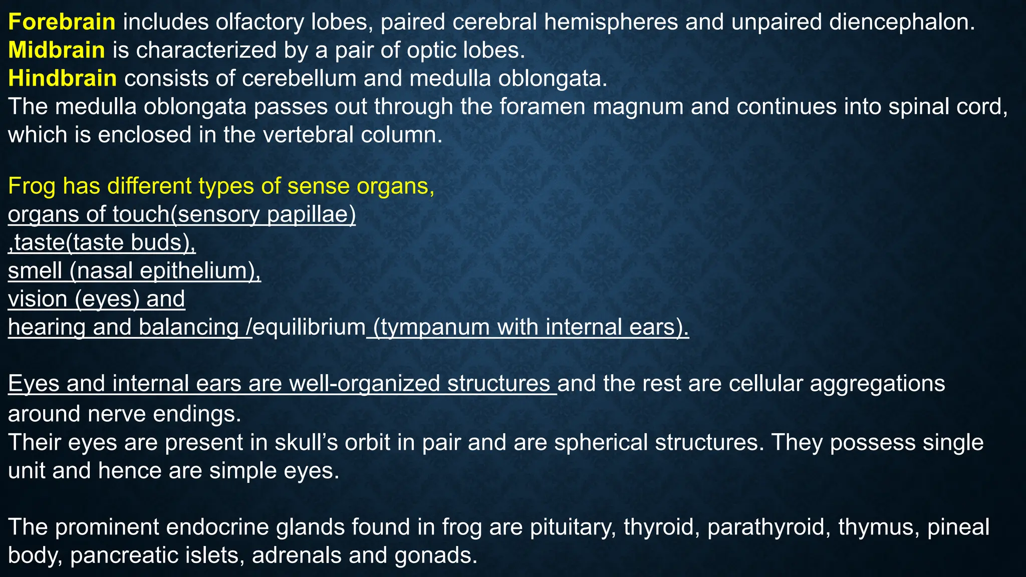 FROG - structural organization of animal | PDF