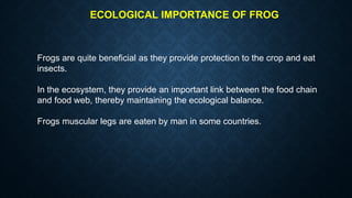 FROG - structural organization of animal | PDF