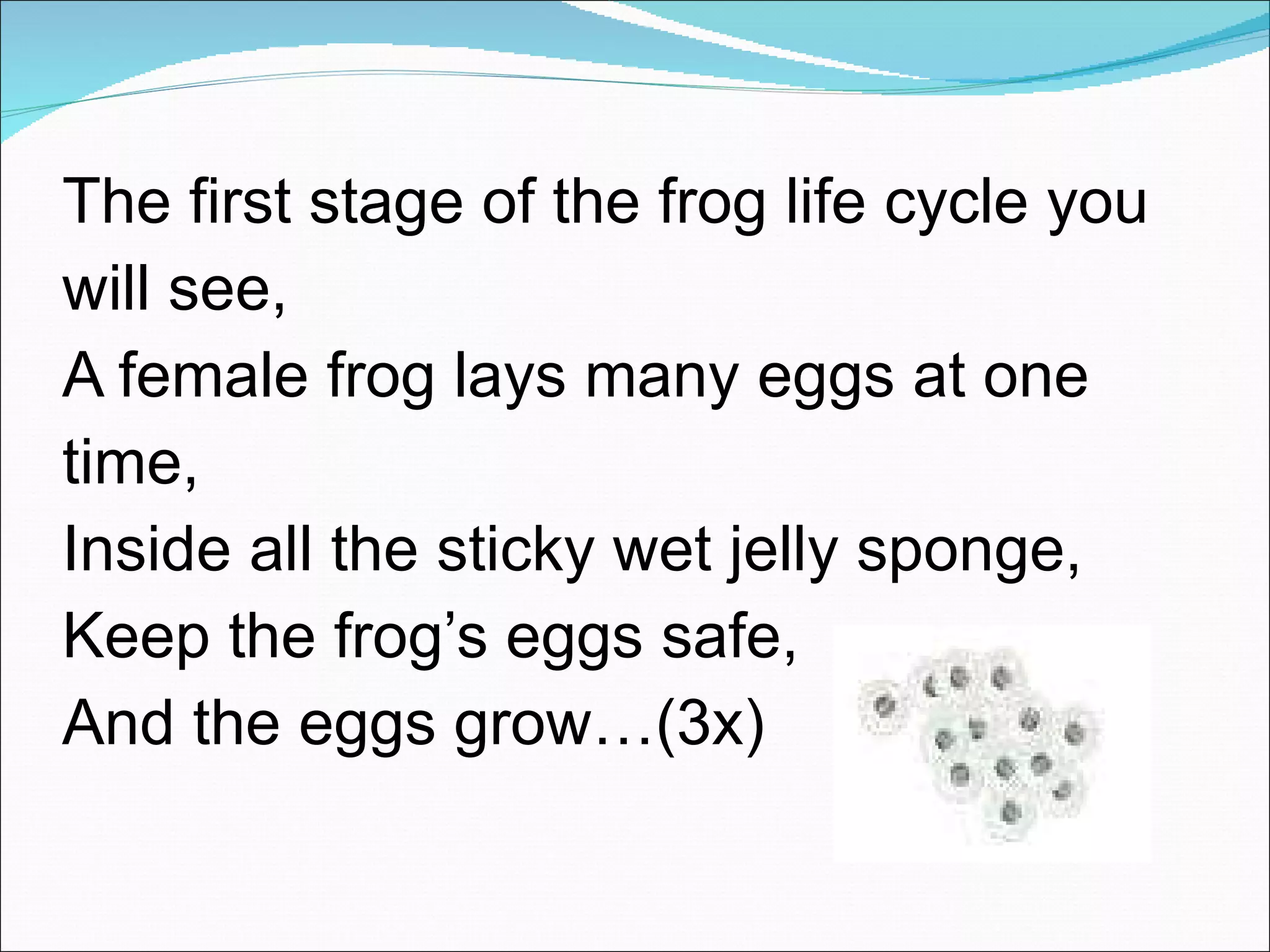 Frog Poem P.Point | PPT