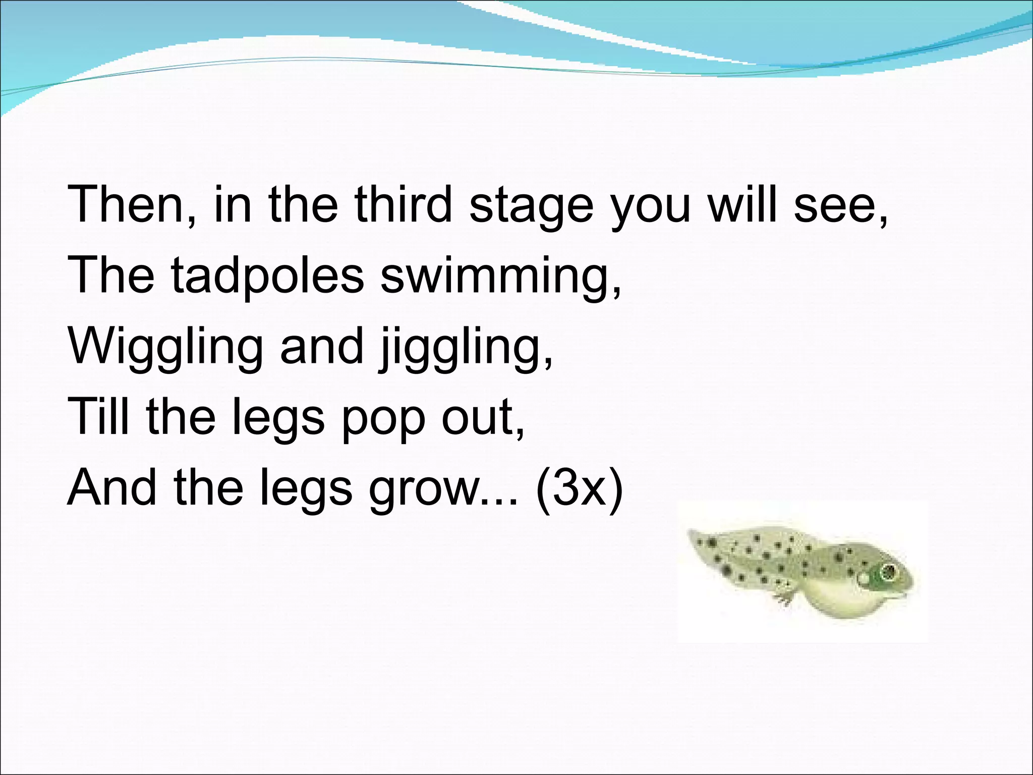 Frog Poem P.Point | PPT