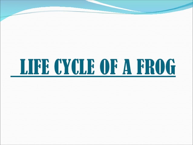 Frog Poem P.Point | PPT