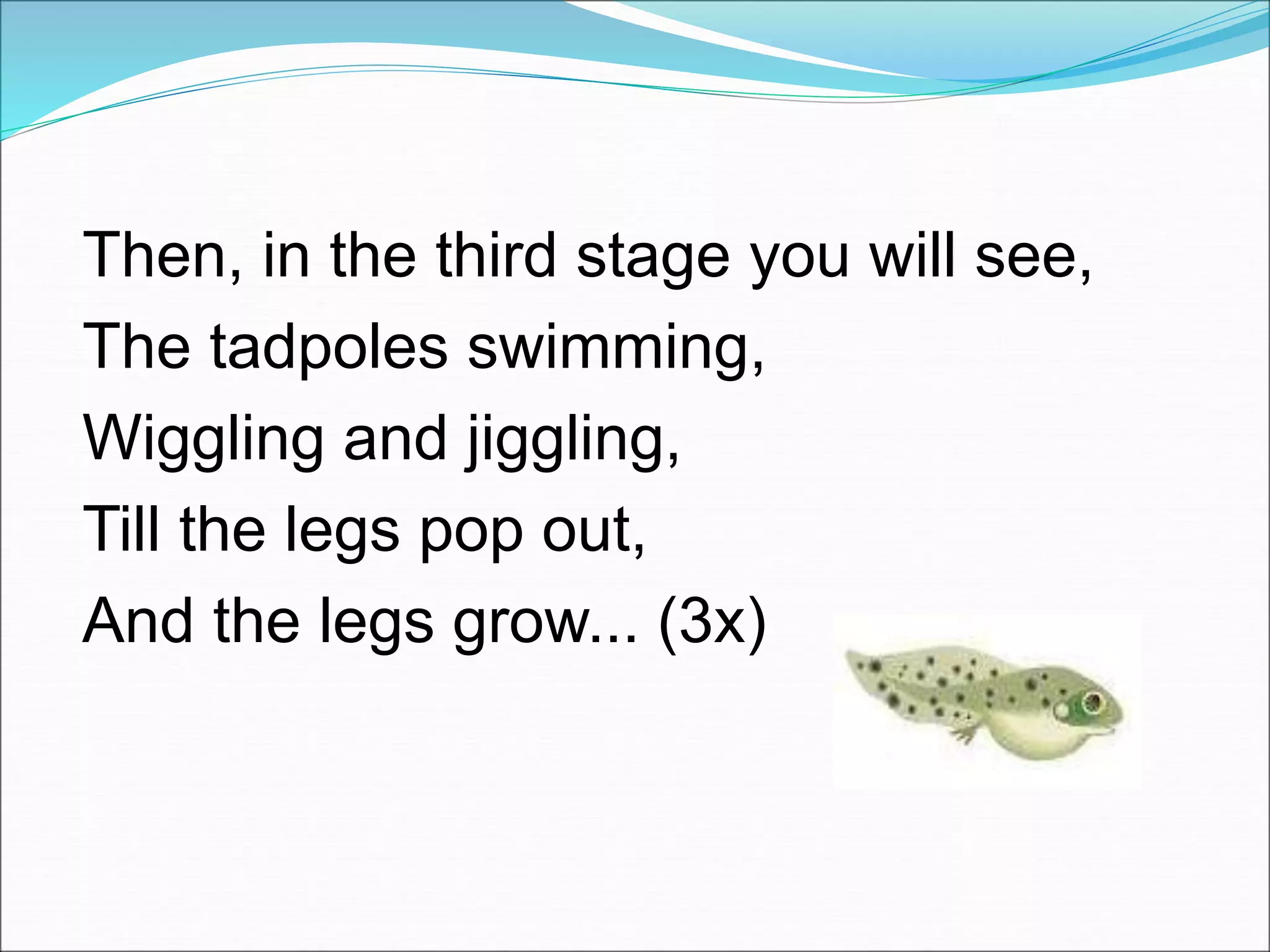 Frog Poem P.Point | PPT