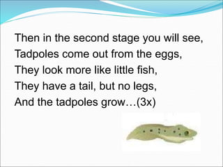 Frog Poem P.Point | PPT